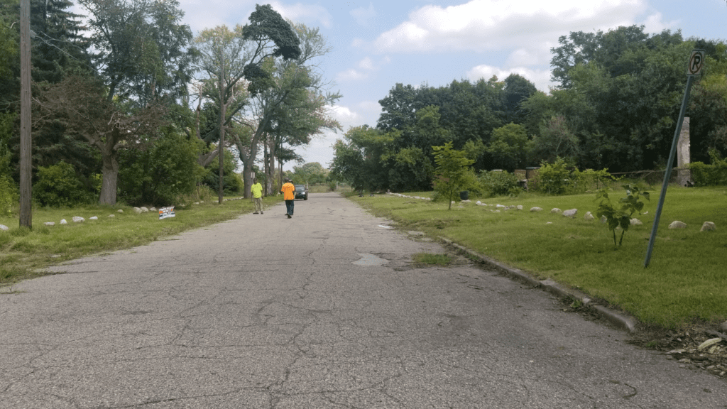 Community-based greening programs can curb violence, improve mental and ...