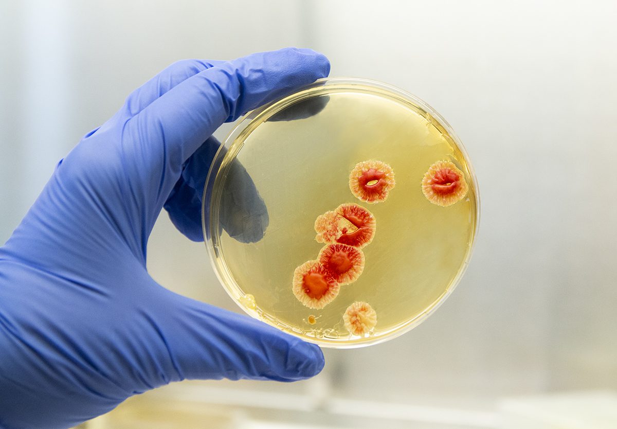 Natural Products Core U M Research